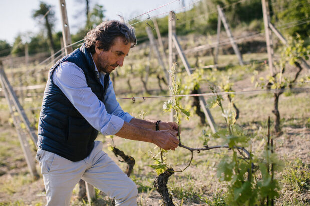 Giorgio Rivetti – mies barolon vallankumouksen takana – Viinilehti