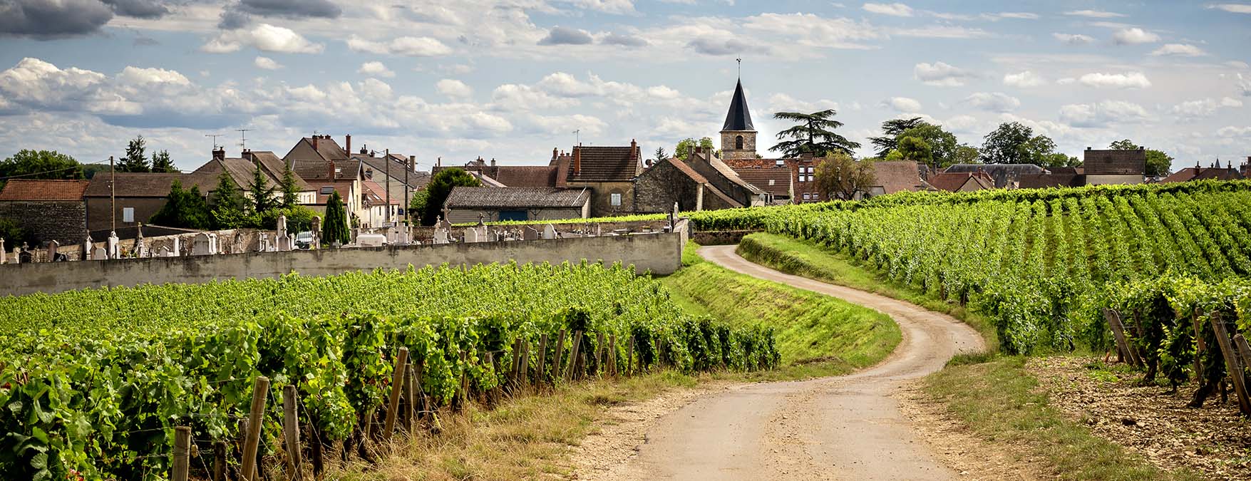 Geneeriset sivut arkisto – Viinilehti