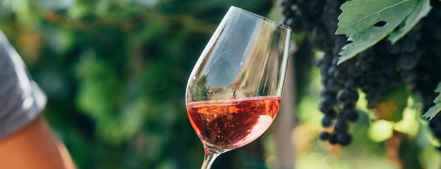 Geneeriset sivut arkisto – Viinilehti