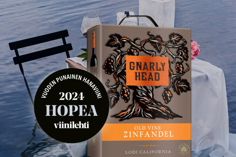 Viinilehti valitsi vuoden parhaat hanaviinit – nämä tonkat ilahduttivat! – Viinilehti