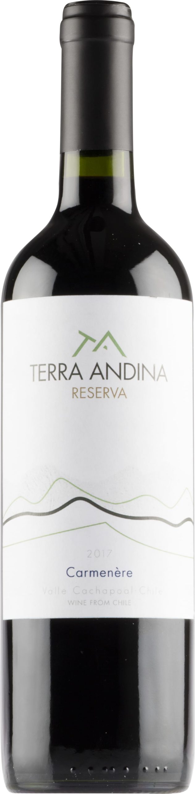 Terra Andina Reserva Carmenère 2017 – Viinilehti