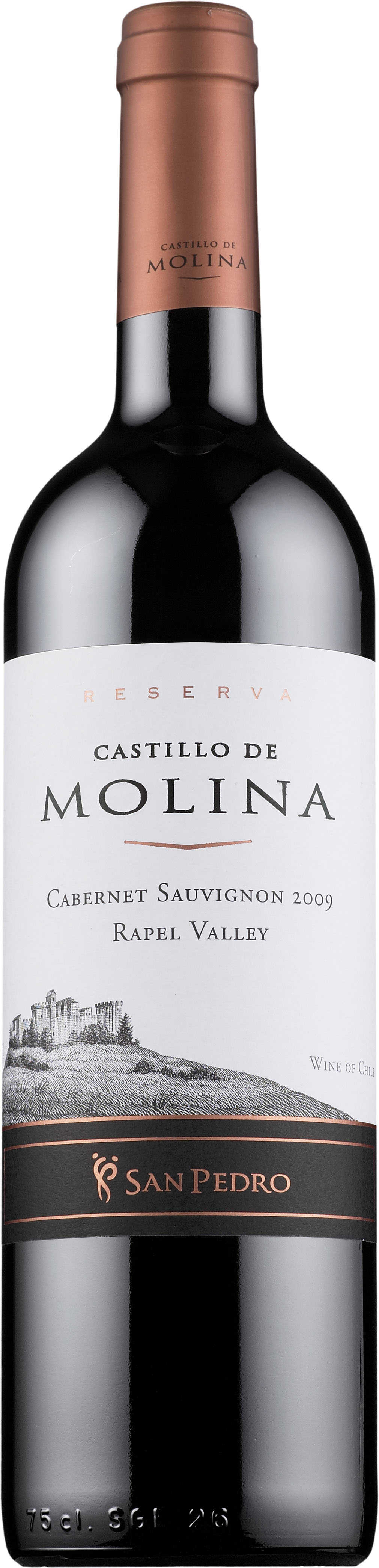 Castillo de Molina Reserva Cabernet Sauvignon 2009 – Viinilehti