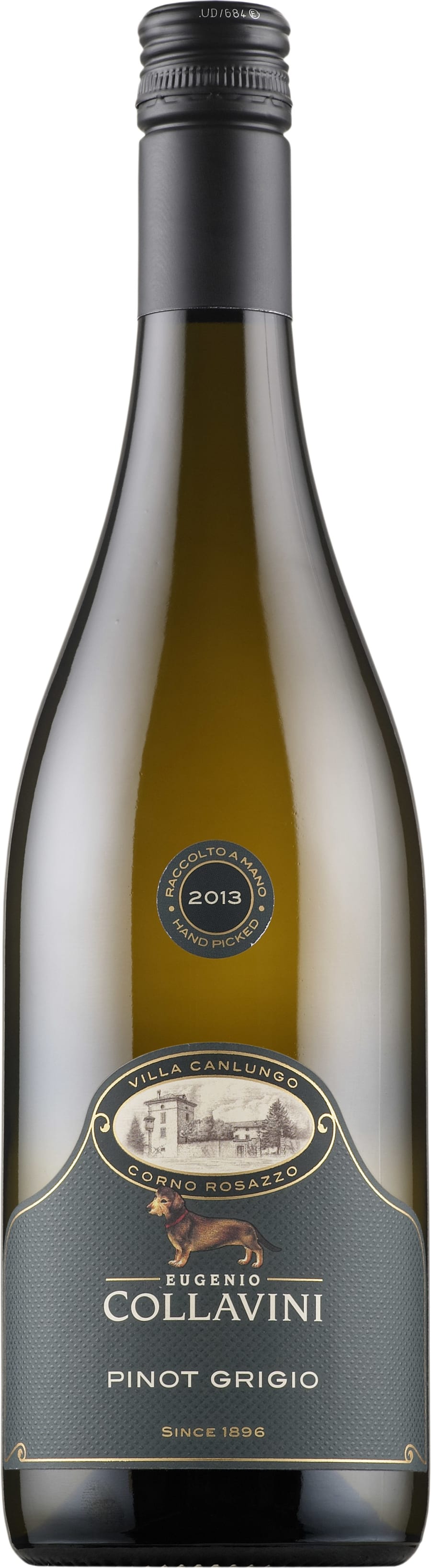 Collavini Villa Canlungo Pinot Grigio 2018 – Viinilehti