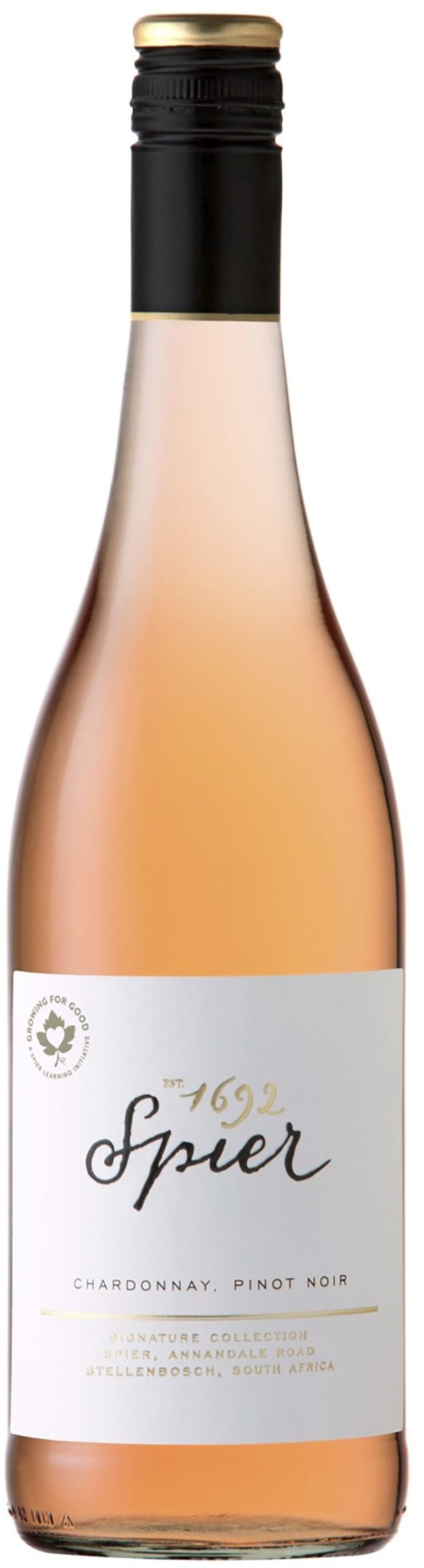 Spier Signature Chardonnay Pinot Noir Rosé 2019 – Viinilehti